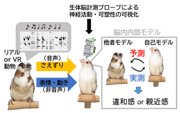 C02 Kentaro Abe – Development and validation of a unified theory of ...